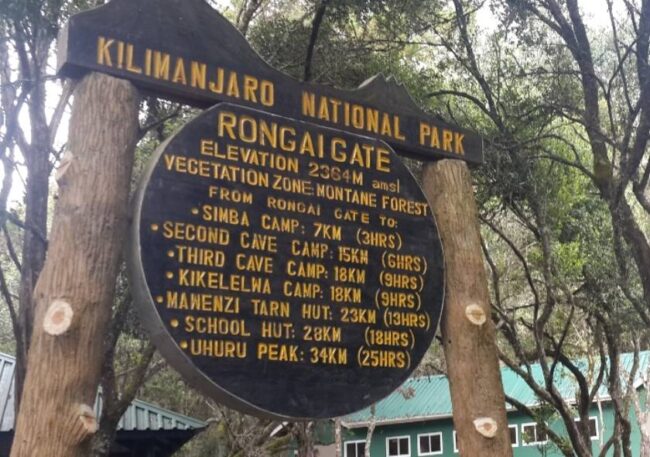 Best Time to Climb Kilimanjaro Rongai Route