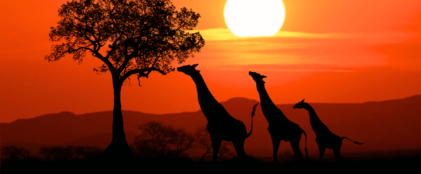 Best National Parks And Reserves In South Africa - Good Earth Tours