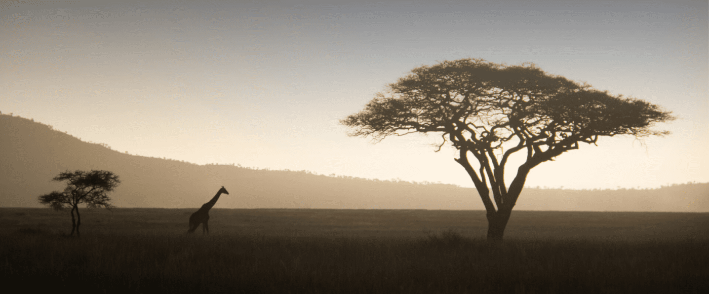 5 Best Places to Buy Safari Clothes | Good Earth Tours