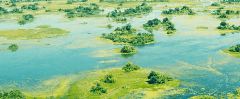 Safaris Across East & Southern Africa | Good Earth Tours