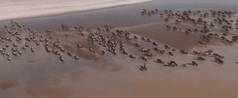 Combo Archives - Good Earth Tours