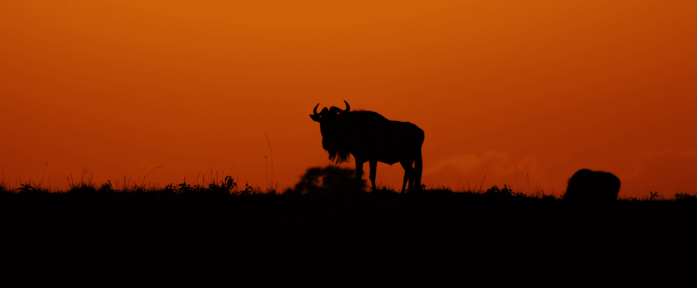 Tanzania Unhurried: A Relaxed Safari - Good Earth Tours