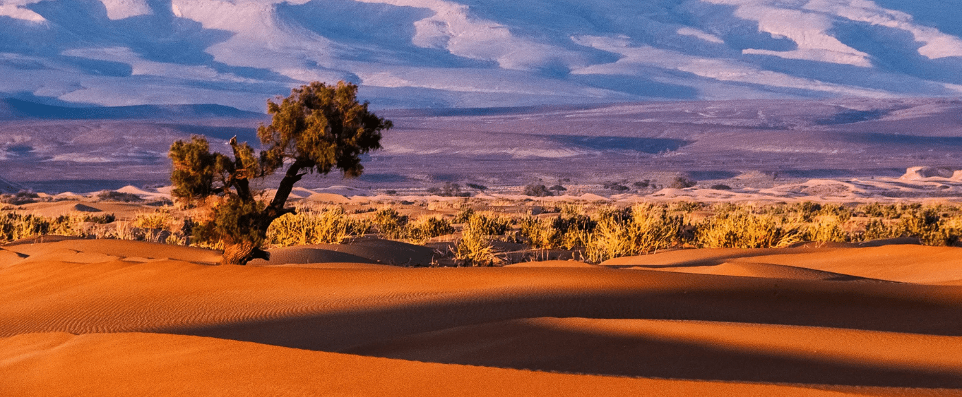 Namibia Family Safari Adventure - Good Earth Tours