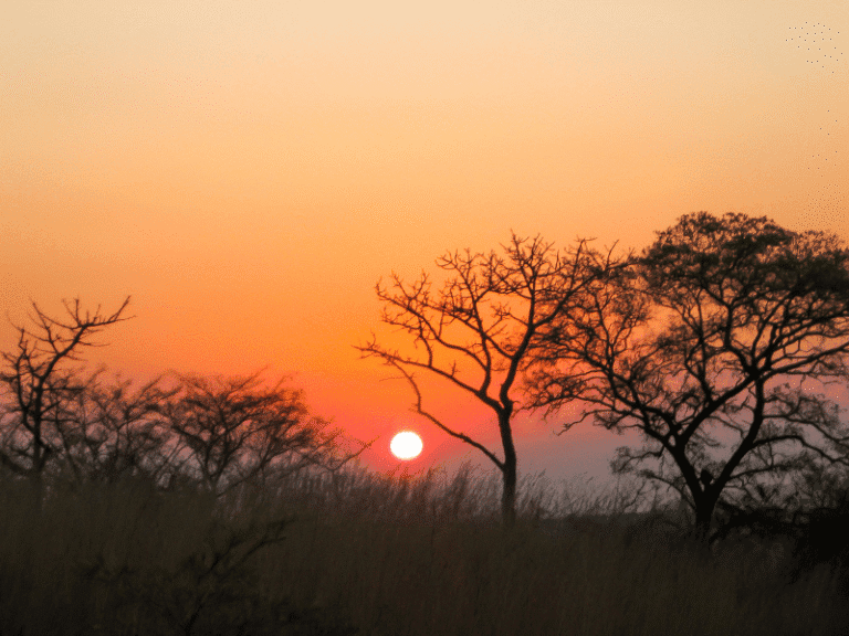 The 8 Best African Safari Tours for 2026-2027 - Good Earth Tours