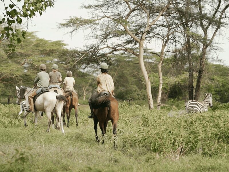 The 7 Top Things to Do in Arusha Tanzania Before Your Safari