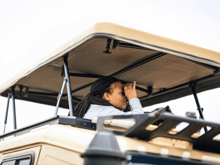 The Guide to Safari Vehicles: Types and Features