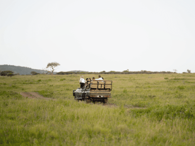 The Guide to Safari Vehicles: Types and Features
