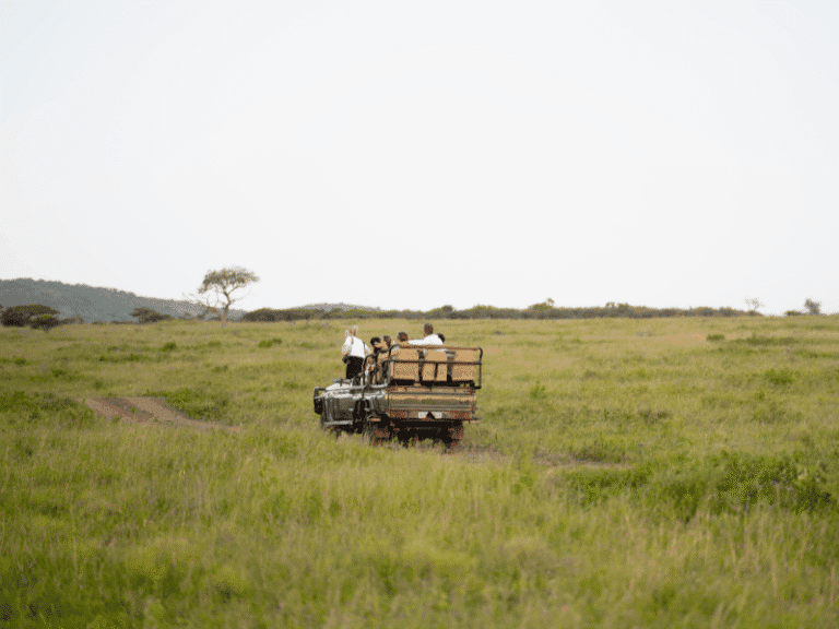 The Guide to Safari Vehicles: Types and Features