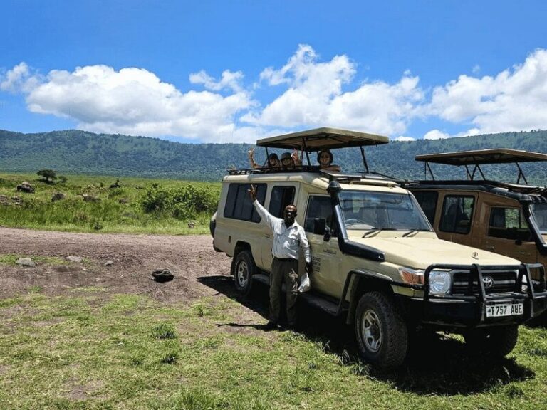 The Guide to Safari Vehicles: Types and Features
