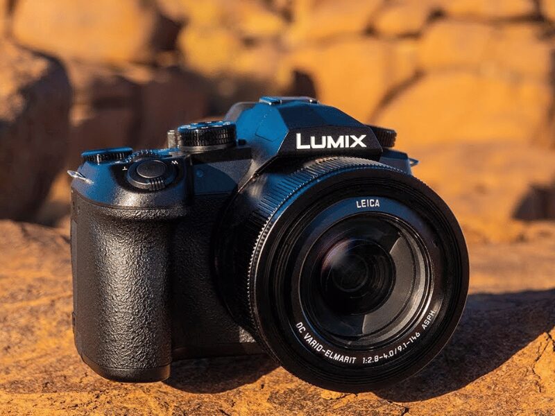 6 Best Safari Cameras 2026 + How to Choose