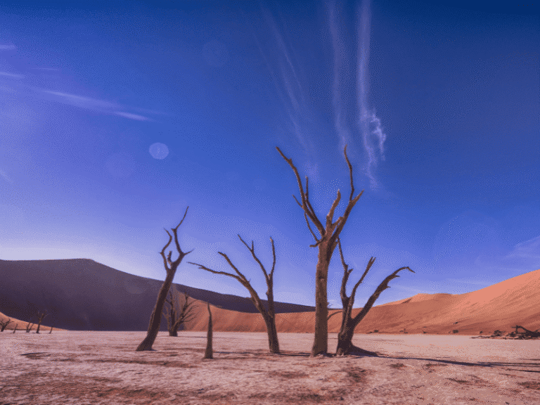 Best Time to Visit Namibia: Month-by-Month Guide