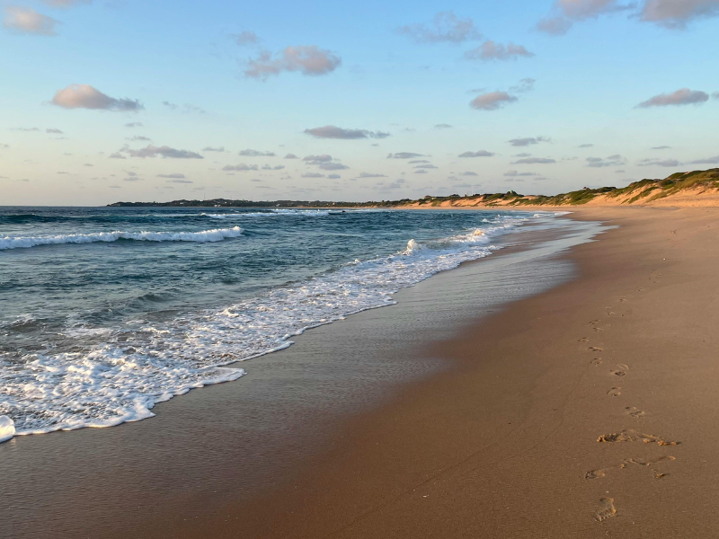 Best Time to Visit Mozambique: Month-by-Month Guide