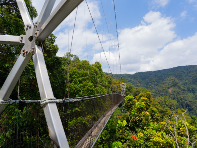 Top Things to Do in Rwanda for Every Traveler