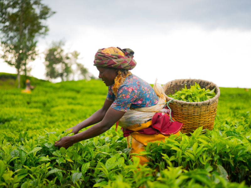 Top Things to Do in Rwanda for Every Traveler