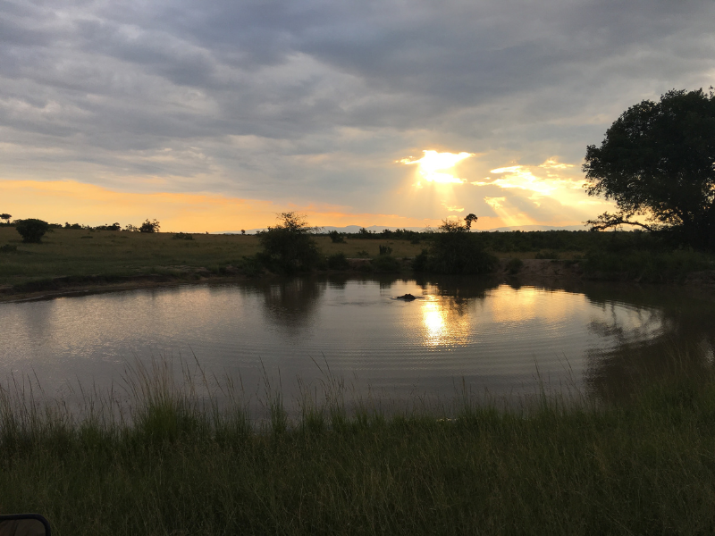 Sabi Sands Game Reserve: What to Know Before You Go
